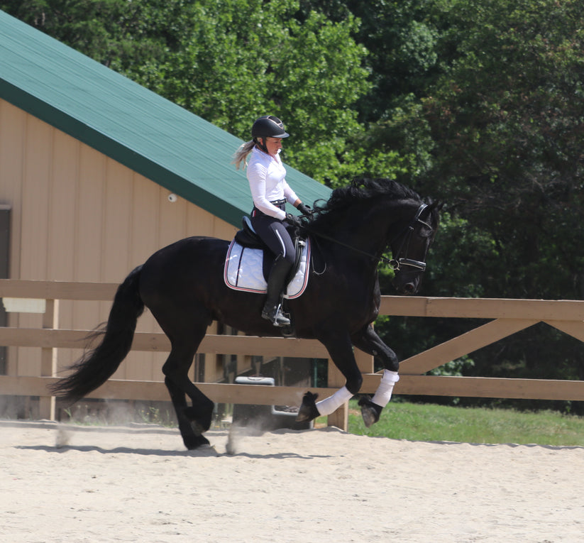 Dressage Luxury Friesian Saddle Pad – Friesian Marketplace