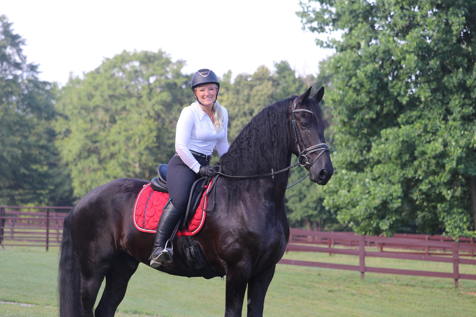 Dressage Luxury Friesian Saddle Pad – Friesian Marketplace